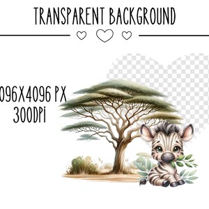 Safari Baby Animal PNG, Cute Jungle Animals Clipart, Watercolor Animal ...