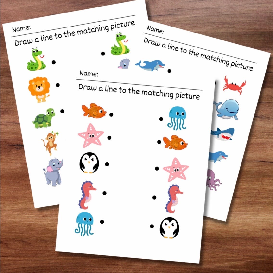 Printable Matching Game Worksheets: Preschool Learning Activity (PDF ...