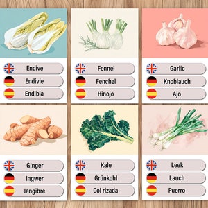100 Veggie Flashcards, English With Bilingual Educational Language Set ...