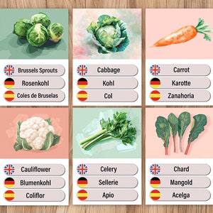 100 Veggie Flashcards, English With Bilingual Educational Language Set ...