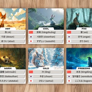 50 Weather Flashcards, English, Chinese, Korean, Japanese, Educational ...