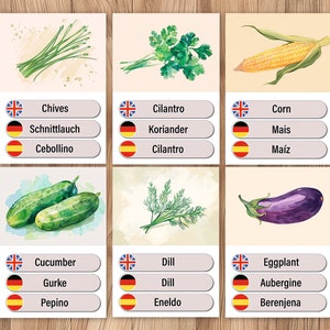 100 Veggie Flashcards, English With Bilingual Educational Language Set ...