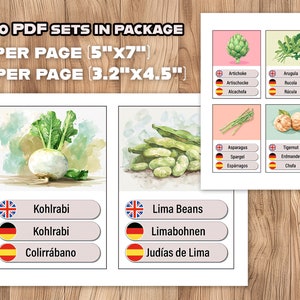 100 Veggie Flashcards, English With Bilingual Educational Language Set ...