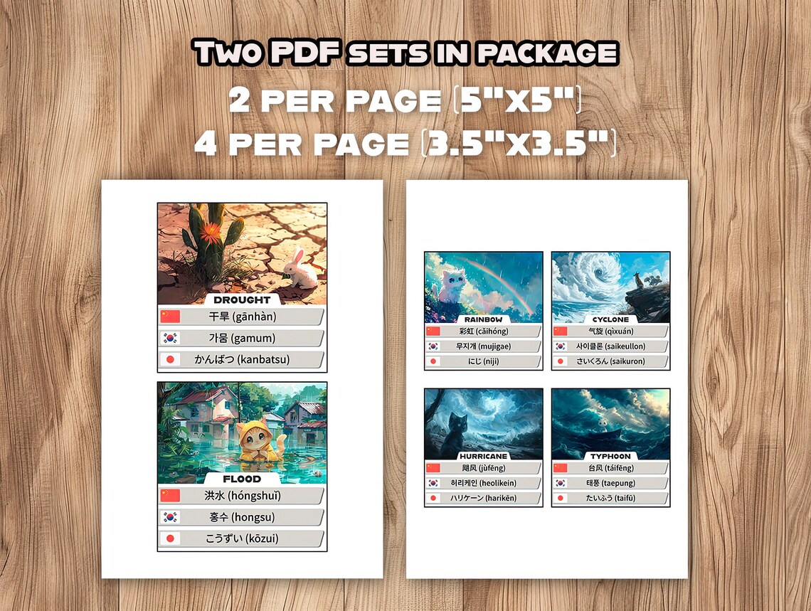 50 Weather Flashcards, English, Chinese, Korean, Japanese, Educational ...