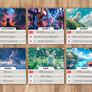 50 Weather Flashcards, English, Chinese, Korean, Japanese, Educational ...