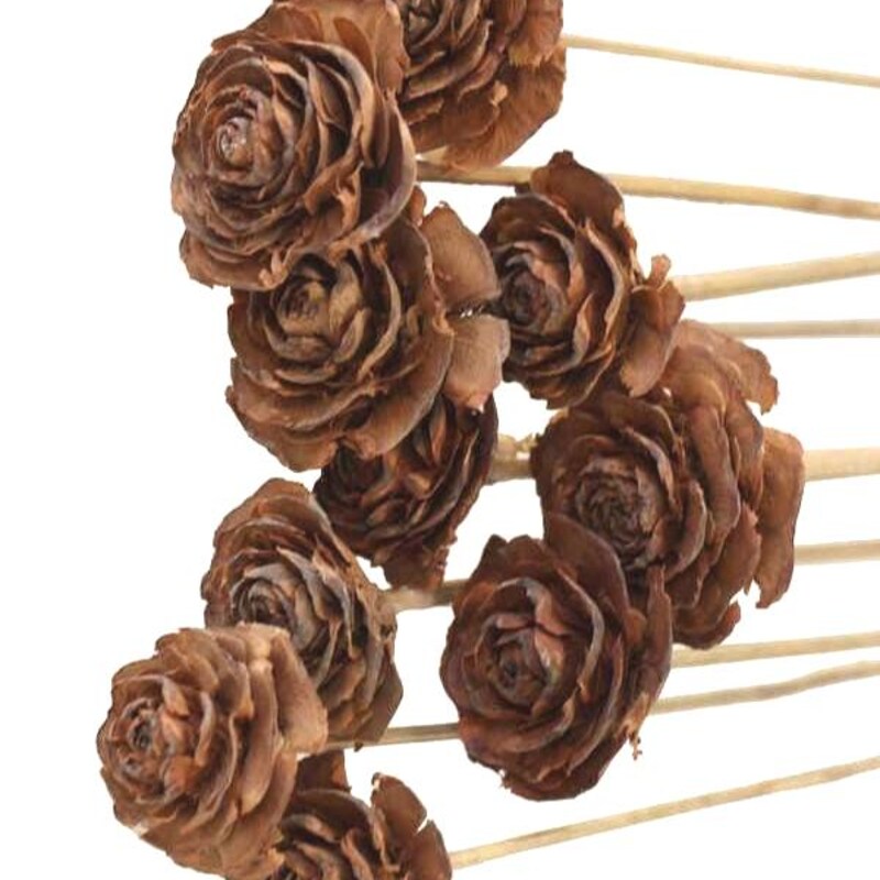 Cedar Roses - Etsy