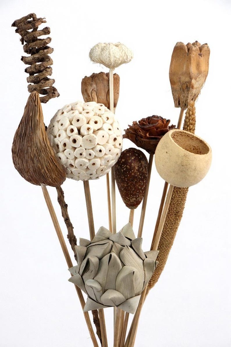 Dried Flower and Pod Bouquet, Rustic Neutral Home Decor, Lotus Pod ...