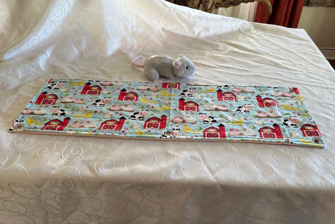 Cage Length Rat Walk/fall Breaker - Etsy