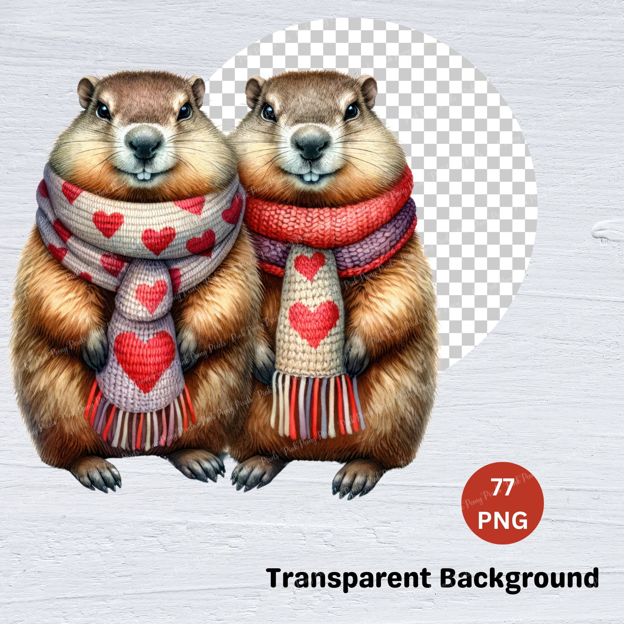 Groundhog Watercolor Clipart Sublimation Bundle-77 PNG, Adorable Cute ...
