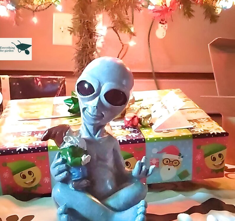 Alien Holding Dwarf Garden Statue, Yard Decor, Lawn Decor, Porch Decor ...