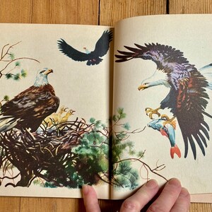 A Little Golden Book - the Golden Book of Birds - 1st Edition 1943 - Etsy