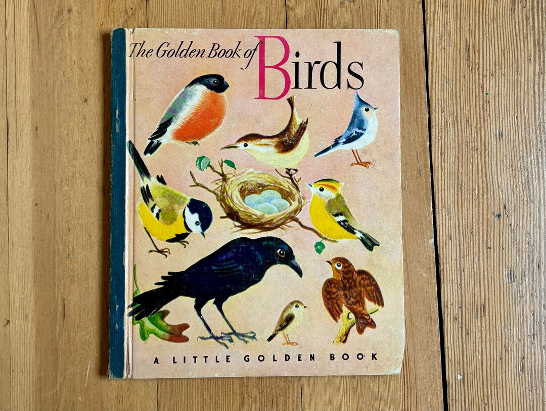 A Little Golden Book - the Golden Book of Birds - 1st Edition 1943 - Etsy