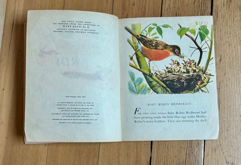 A Little Golden Book - the Golden Book of Birds - 1st Edition 1943 - Etsy