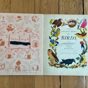 A Little Golden Book - the Golden Book of Birds - 1st Edition 1943 - Etsy