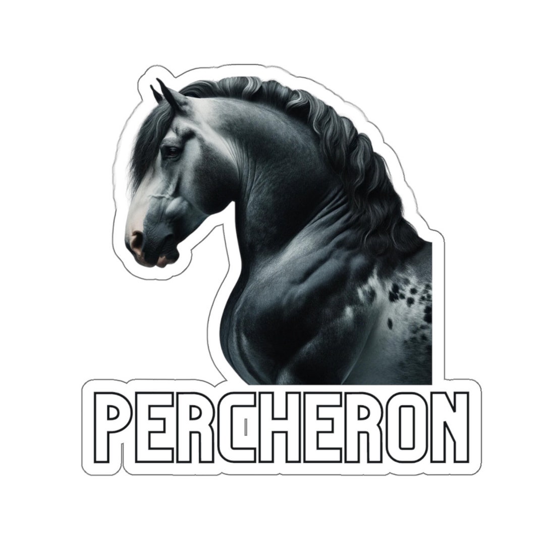 Stallion Silhouette: 'regal Percheron' Noble Horse Vinyl Sticker Draft ...