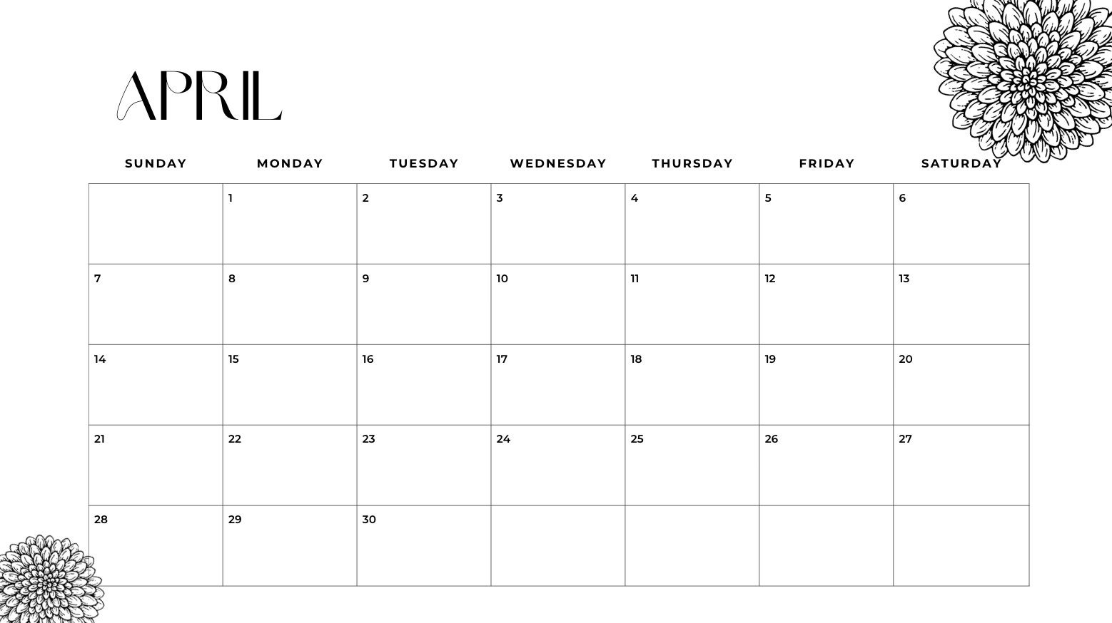 Minimalist Floral 2024 Monthly Calendar sunday-start, 11 X 8.5 Inches ...