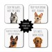 Personalized Funny Dog Saying Coaster Set, Custom Pet Hardboard Bottom ...