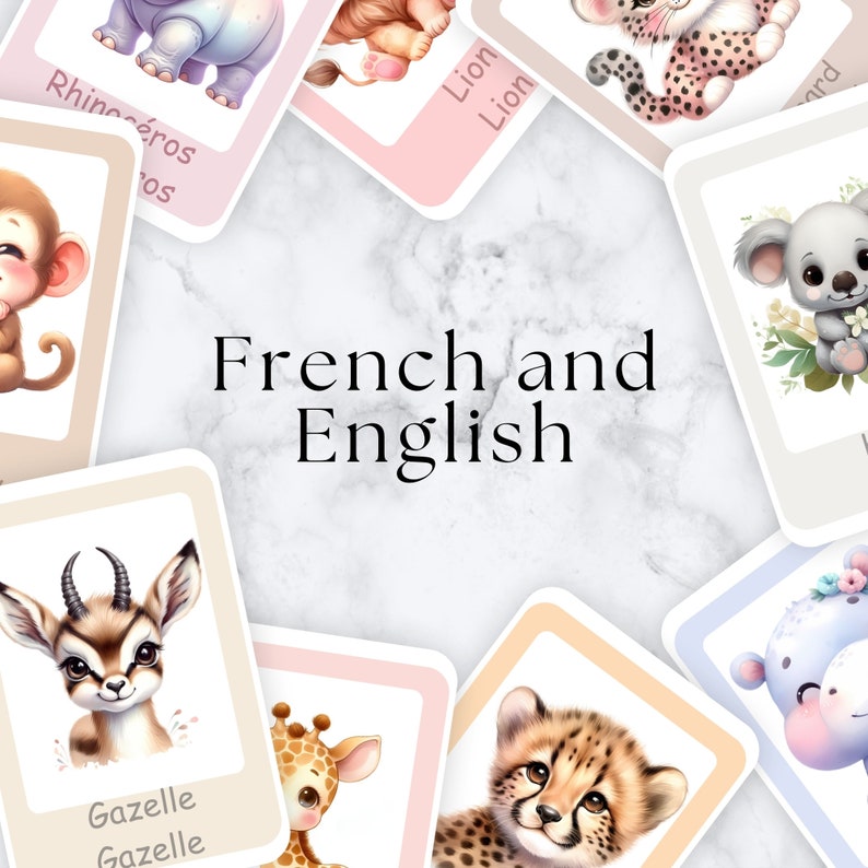 Safari Animal Flash Cards, Preschool Activities, Learning Materials ...