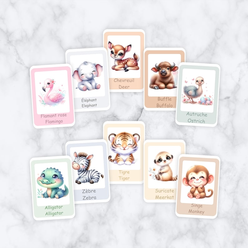 Safari Animal Flash Cards, Preschool Activities, Learning Materials ...