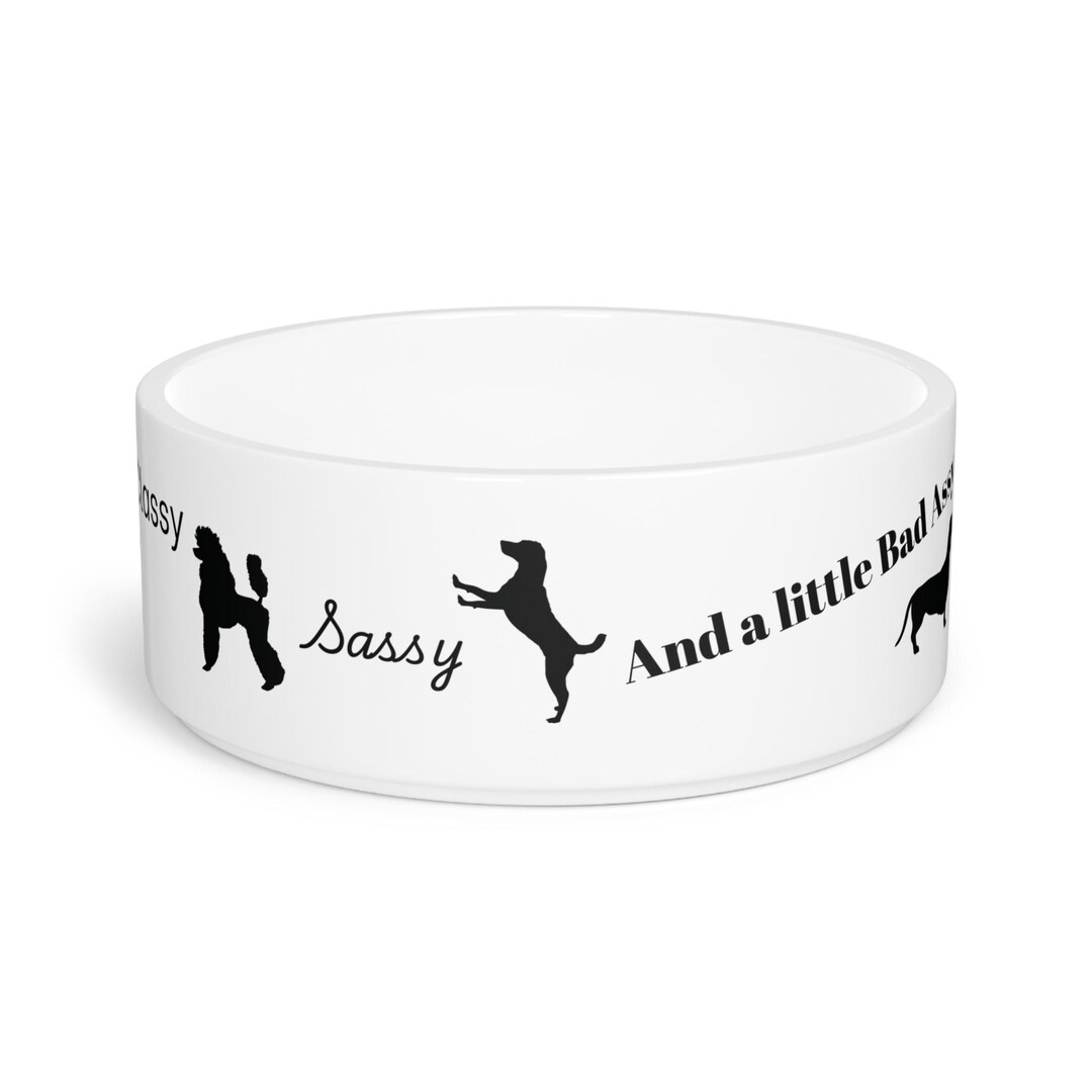 Classy, Sassy and a Little Bad Assy Dog Bowl, Ceramic Pet Bowl, Dog ...