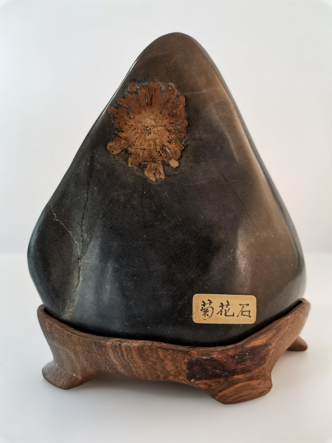 Vintage Suiseki Japanese Viewing Stone Kikkaseki Chrysanthemum Stone 1072g - Etsy