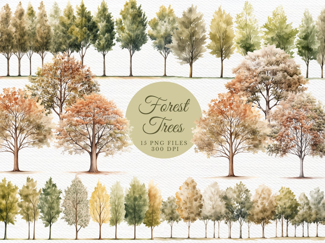 Watercolor Boho Forest Trees, Watercolor Forest, Forest Tree Clipart ...