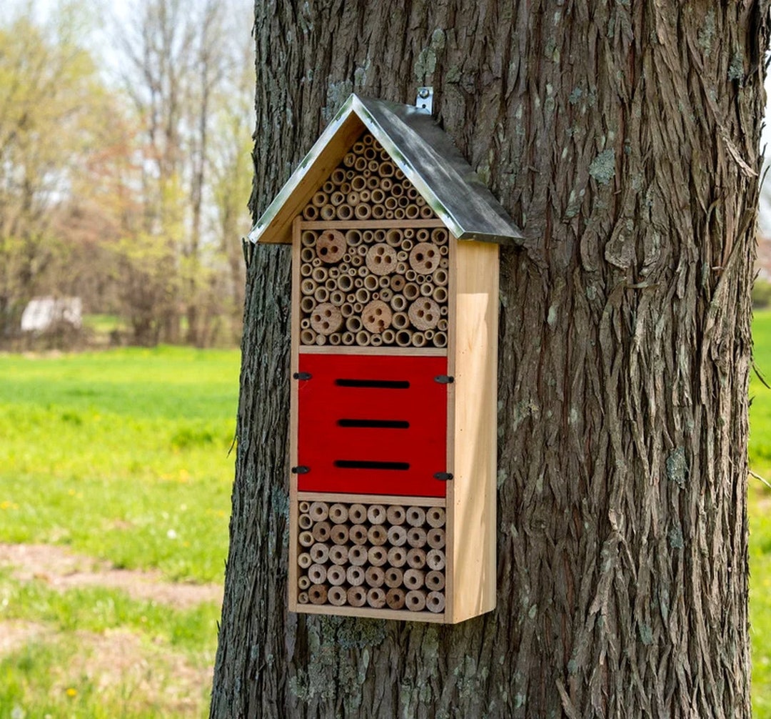 Jcs Wildlife Extra Large Insect Hotel Great for Mason Bees - Etsy