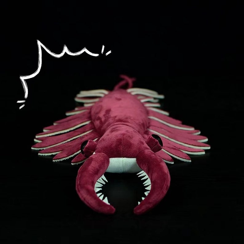 The Shrimp Model is Modeled After a Broom, Emulating the Weird Shrimps ...