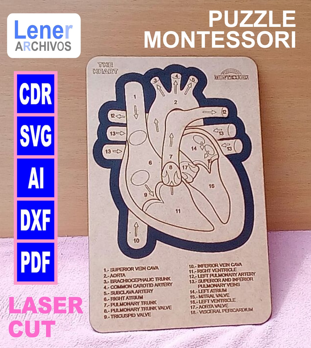 Heart Puzzle, Montessori Toys, Preschool Educational Gifts for Kids ...