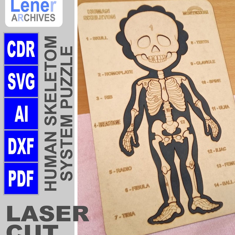 Anatomical Jigsaw Puzzle - Etsy