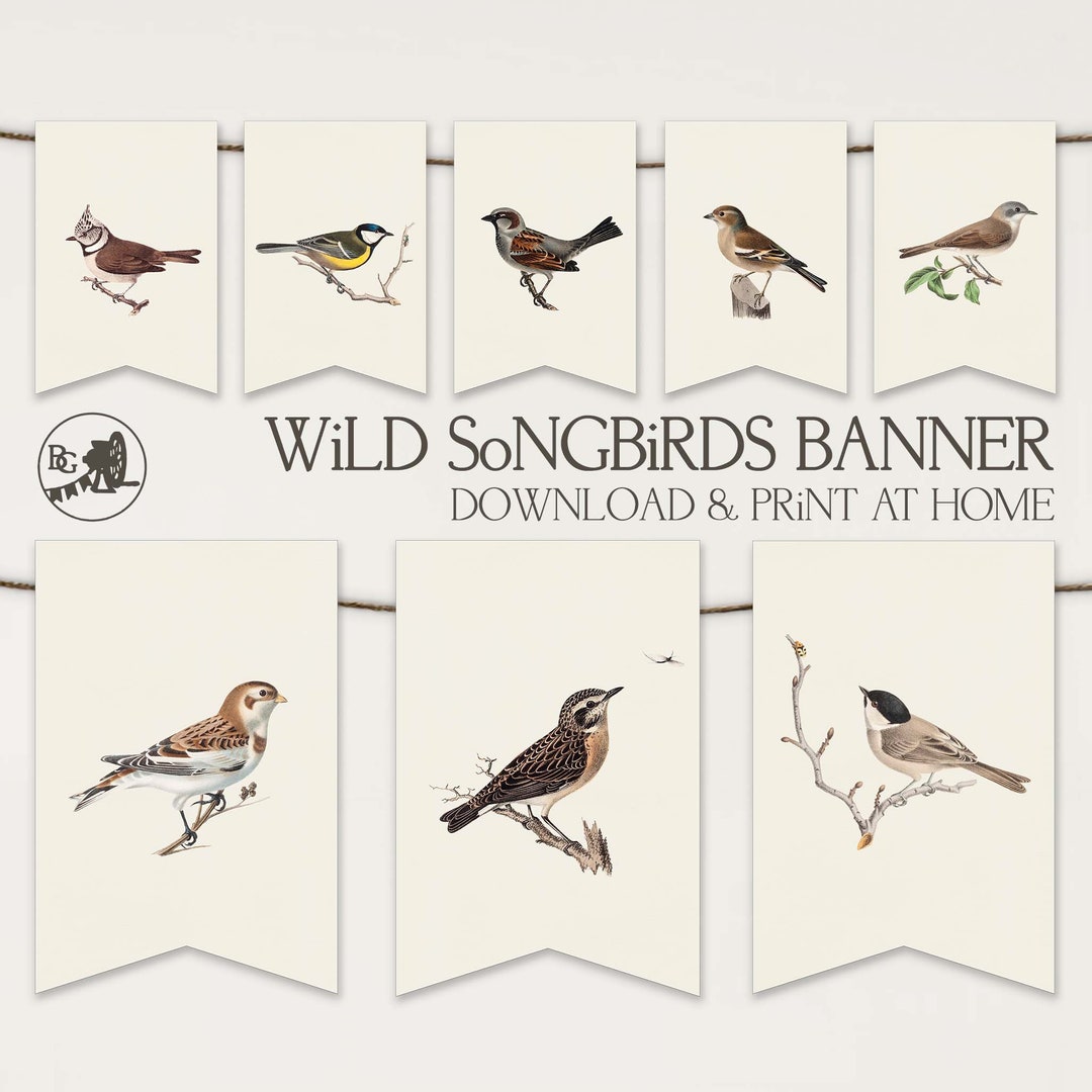Wild Songbirds Party Banner PRINTABLE Bunting Flags | Vintage Bird ...