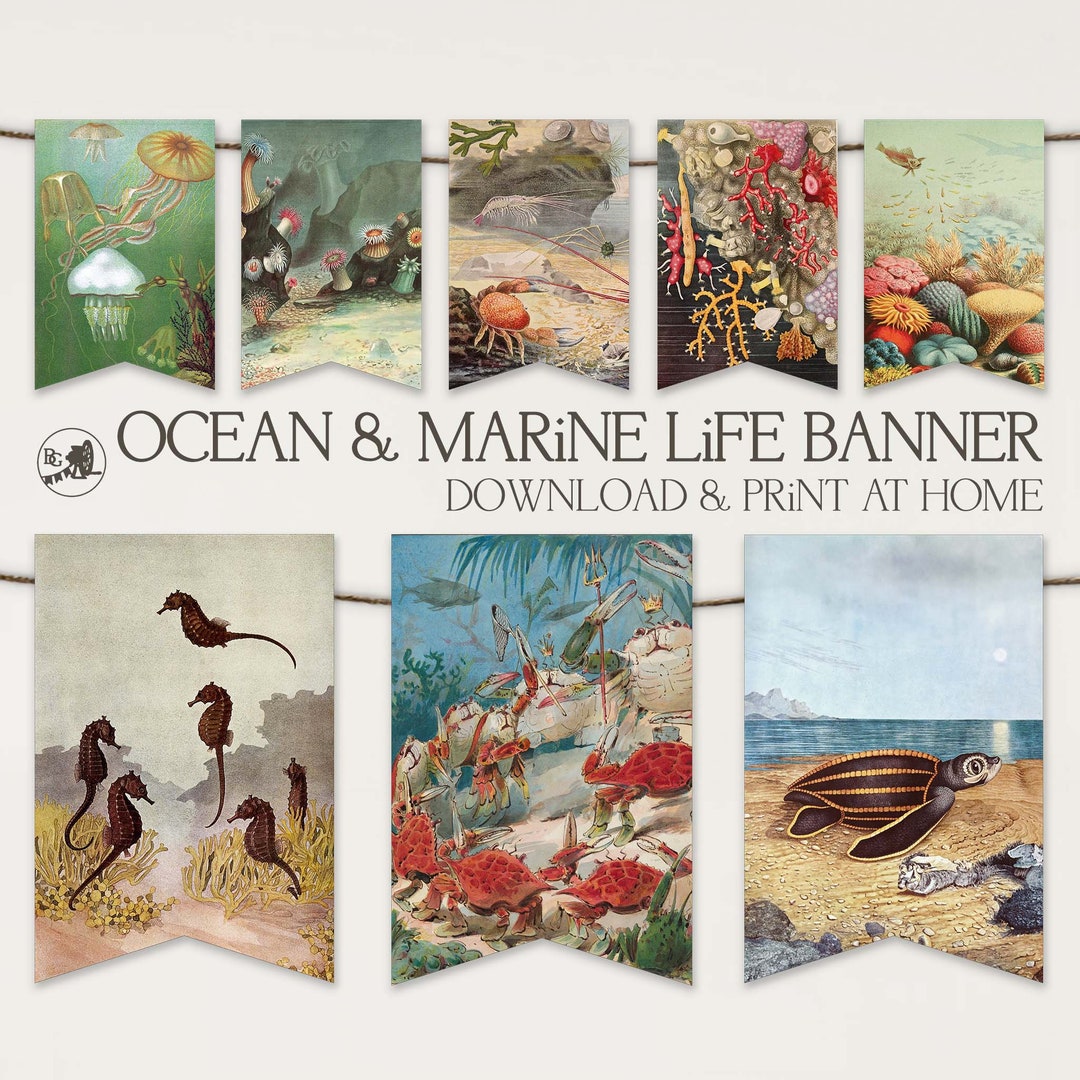 Ocean & Marine Life PRINTABLE Party Banner | Vintage Ocean Critters ...