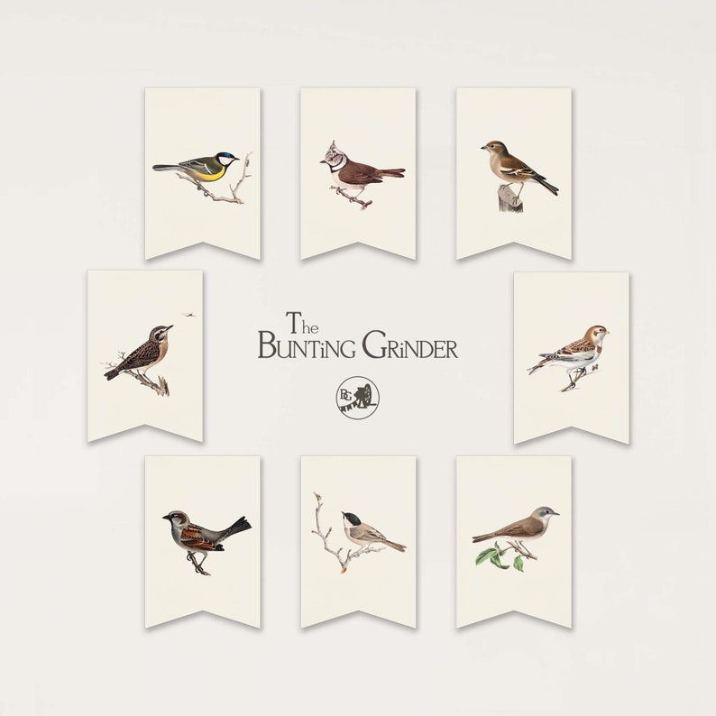 Wild Songbirds Party Banner PRINTABLE Bunting Flags | Vintage Bird ...