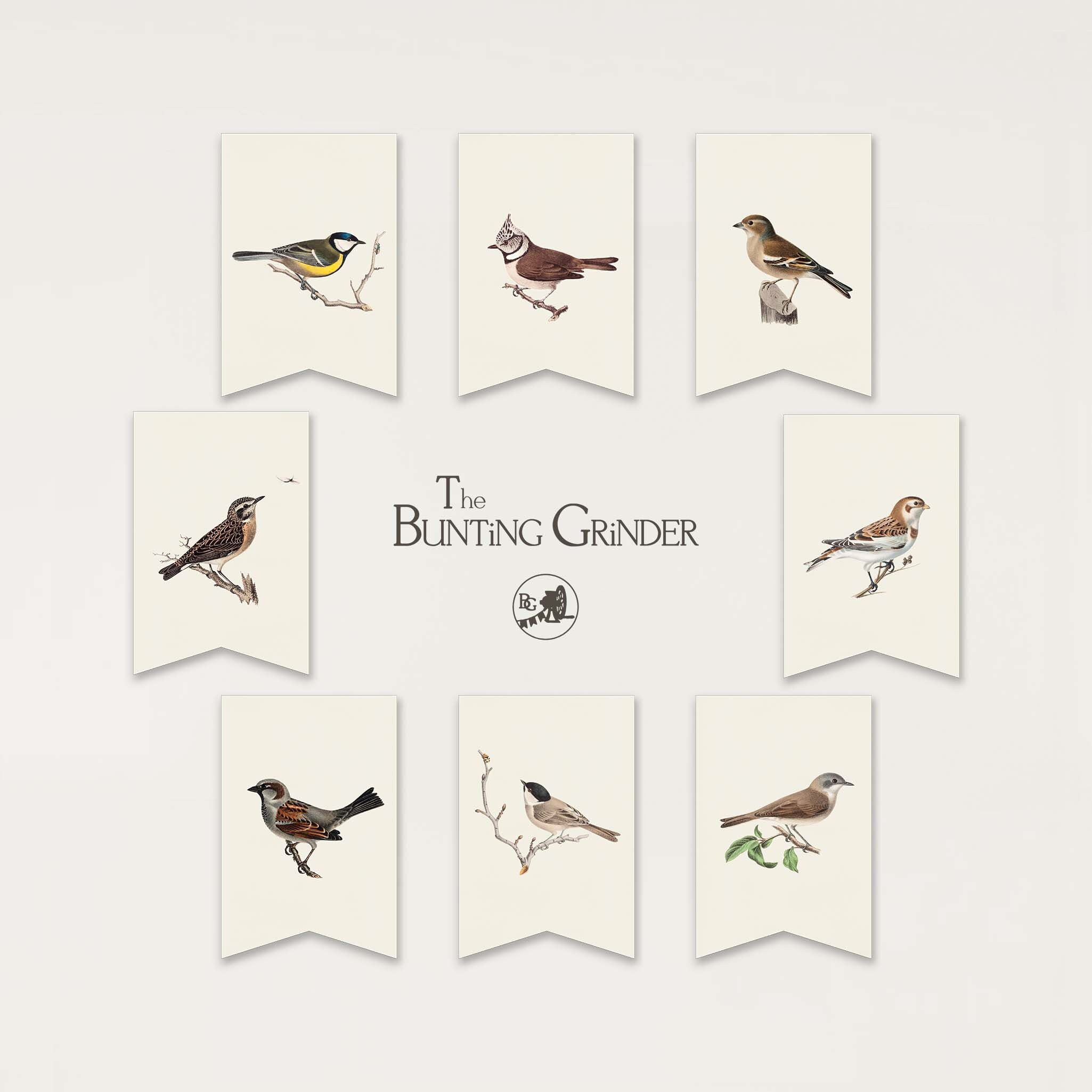 Wild Songbirds Party Banner PRINTABLE Bunting Flags | Vintage Bird ...