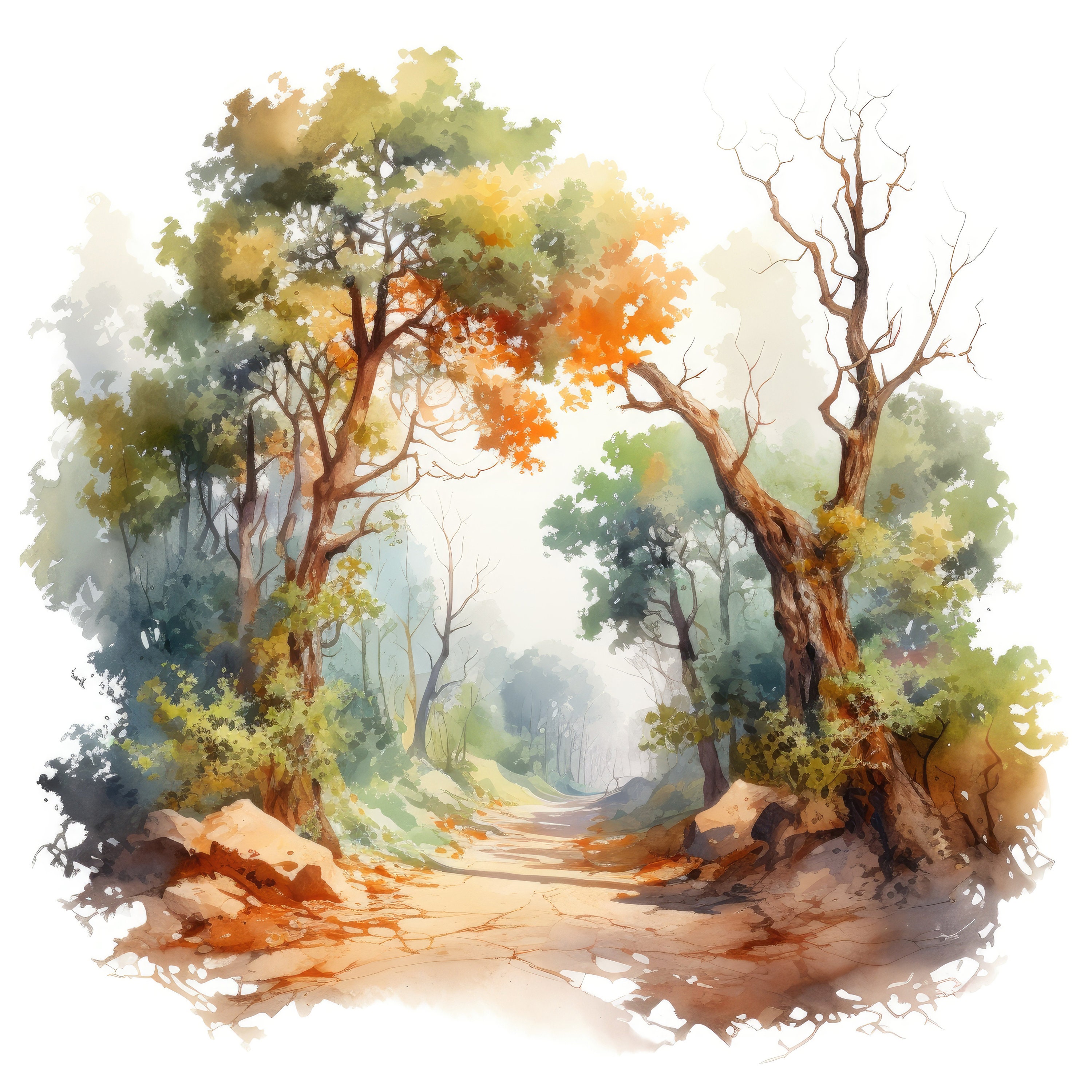 Cute Forest Clipart Set Bundle, 10 High-quality Images, Apparel, Paper ...