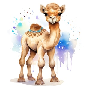 Cute Camel Clipart Set Bundle, 10 High-quality Images, Apparel, Paper ...