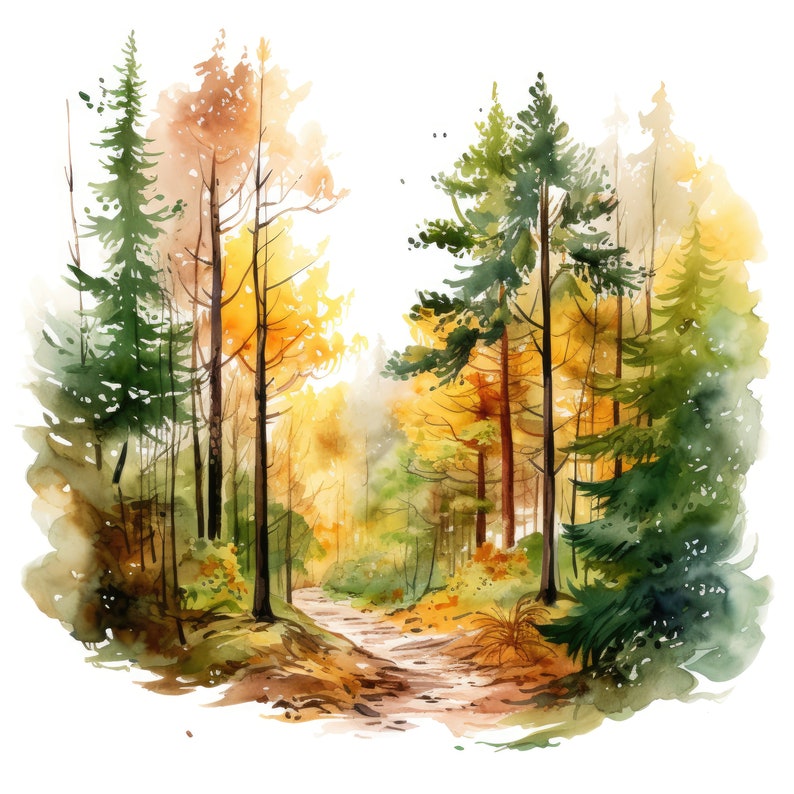 Cute Forest Clipart Set Bundle, 10 High-quality Images, Apparel, Paper ...