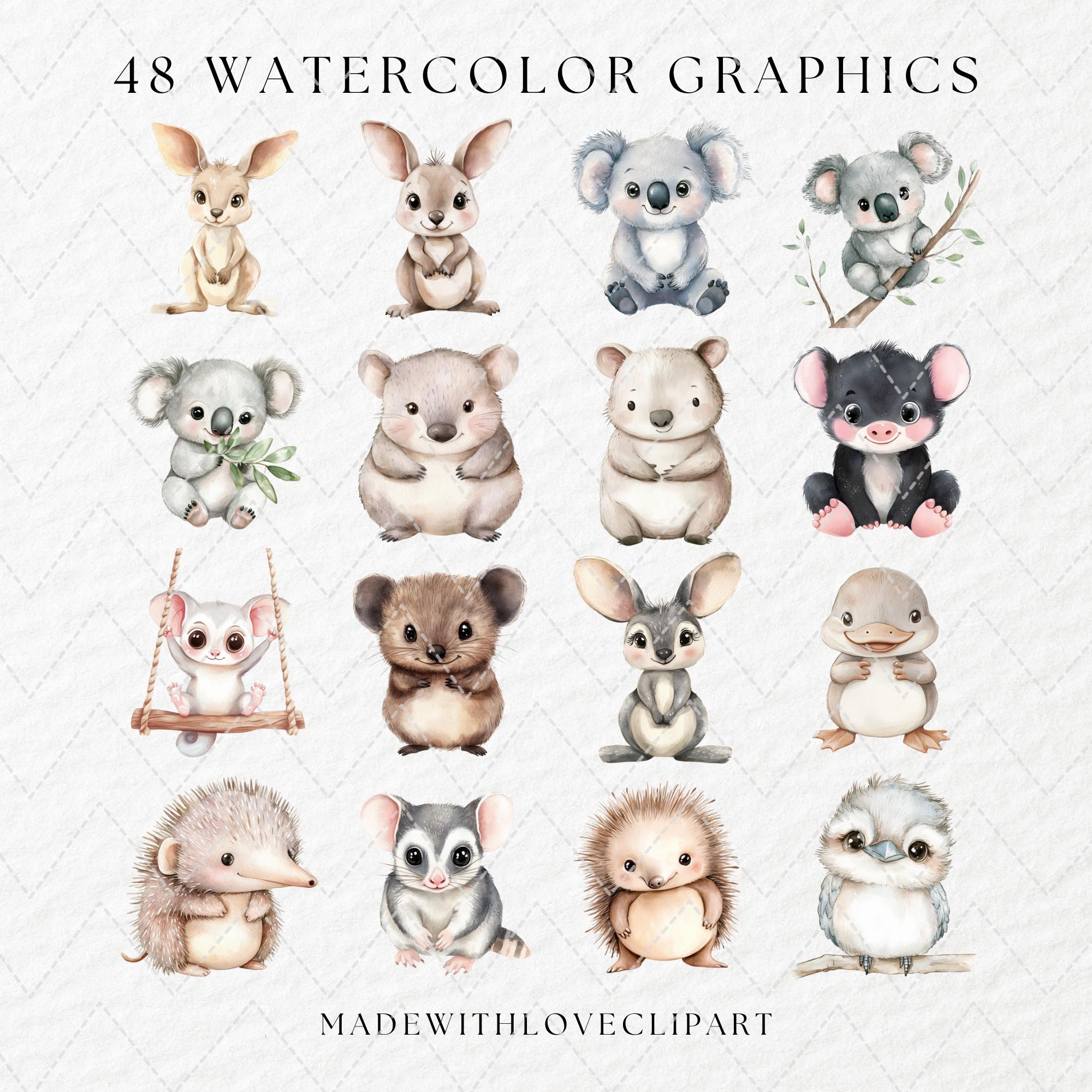Watercolor Australian Animal Clipart, Animals Clipart, Cute Baby Animal ...