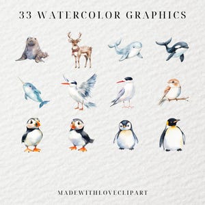 Watercolor Arctic Animals, Winter Animals Clipart, Winter Wonderland ...