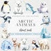 Watercolor Arctic Animals, Winter Animals Clipart, Winter Wonderland ...