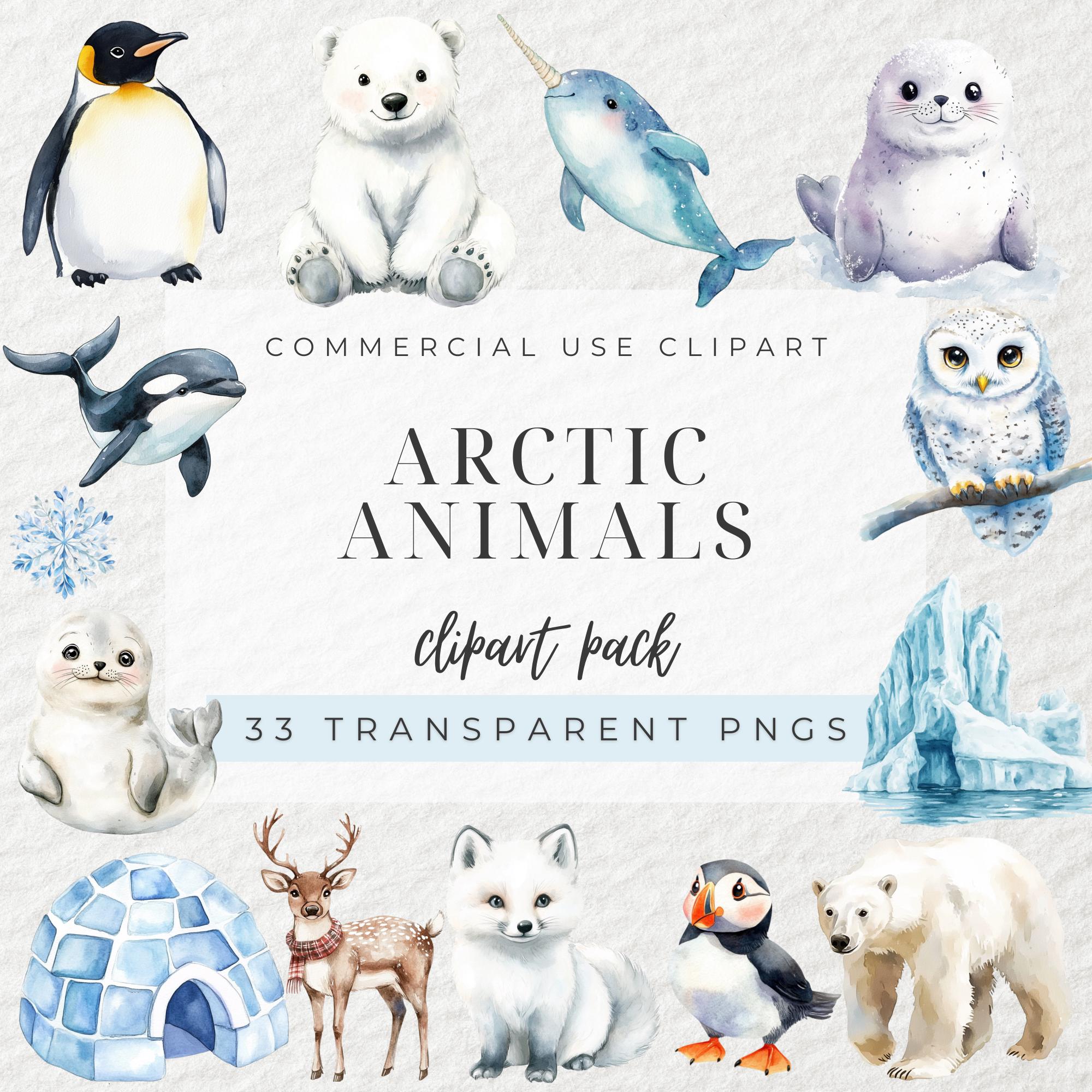 Watercolor Arctic Animals, Winter Animals Clipart, Winter Wonderland ...