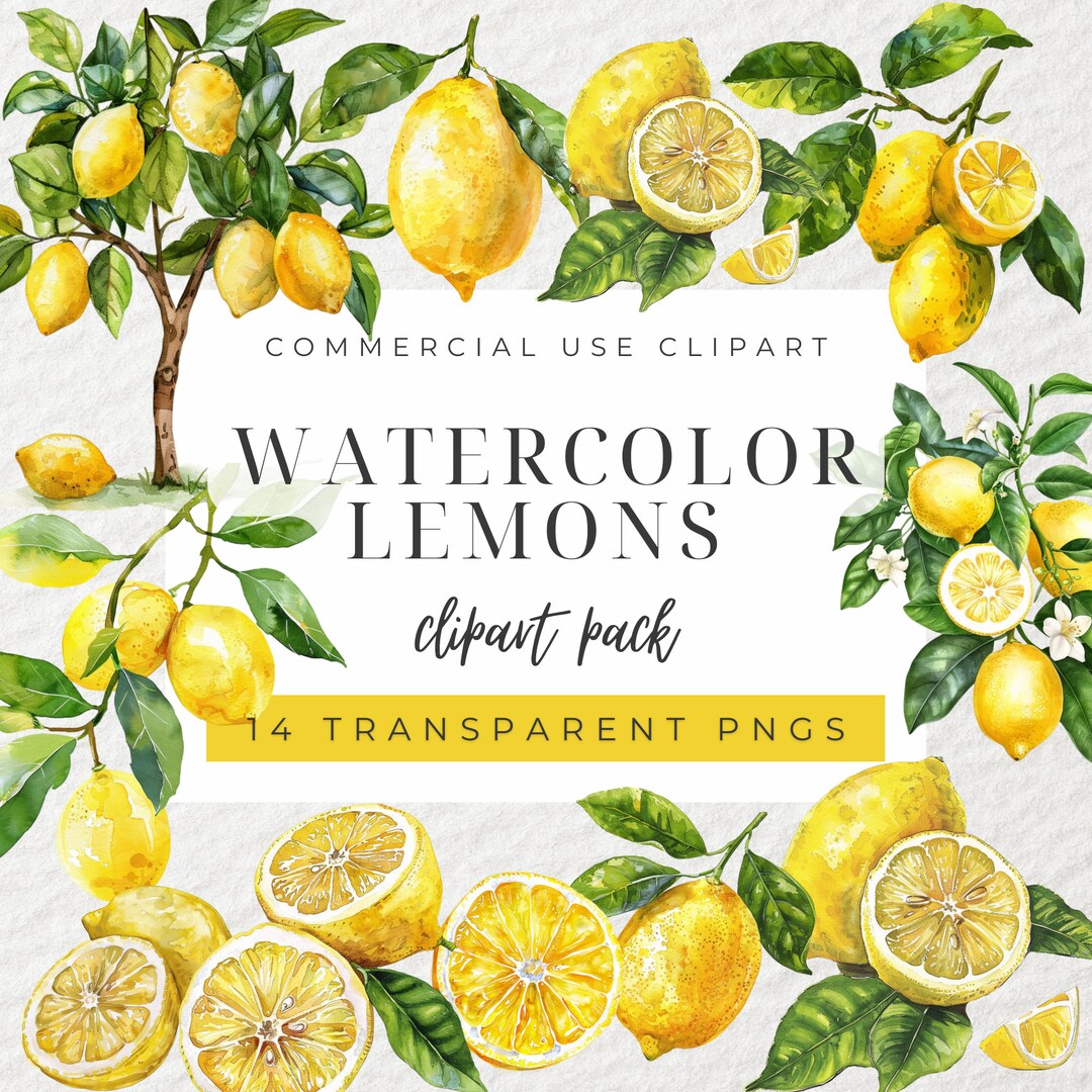 Watercolor Lemons Clipart, Lemon Twig Clipart, Citrus Fruit Clipart ...