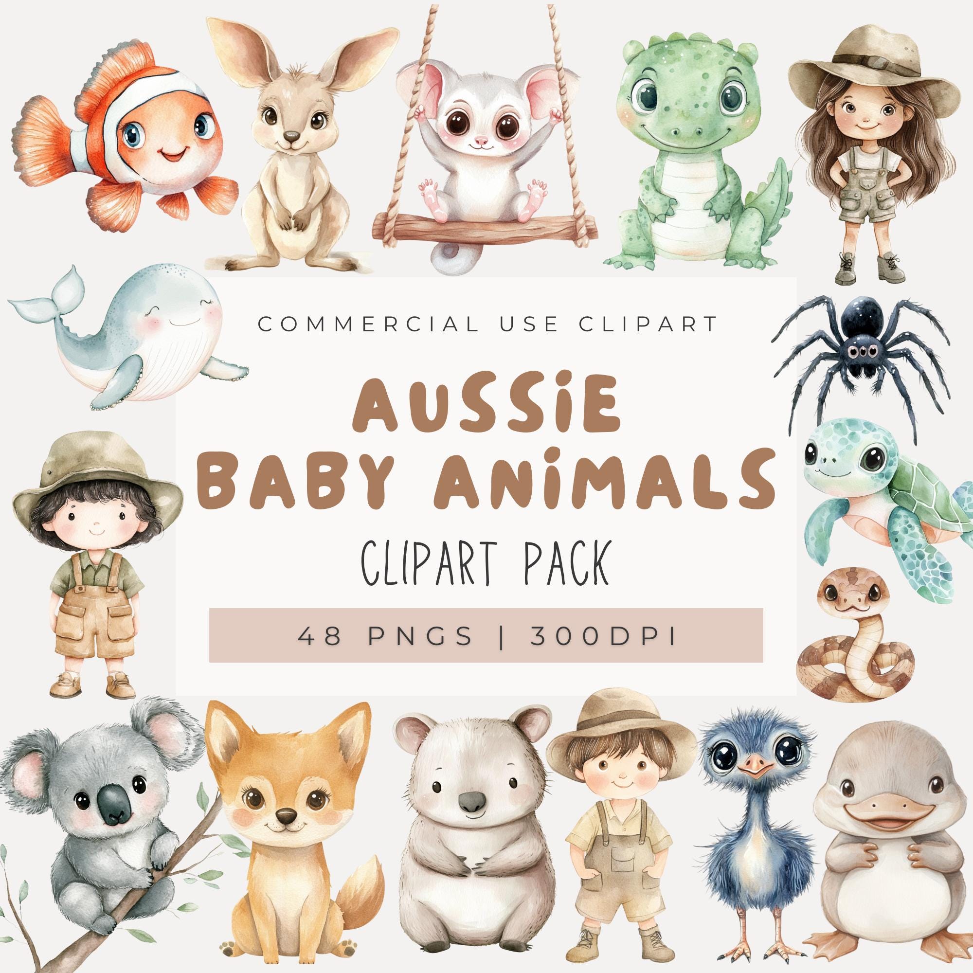 Watercolor Australian Animal Clipart, Animals Clipart, Cute Baby Animal ...