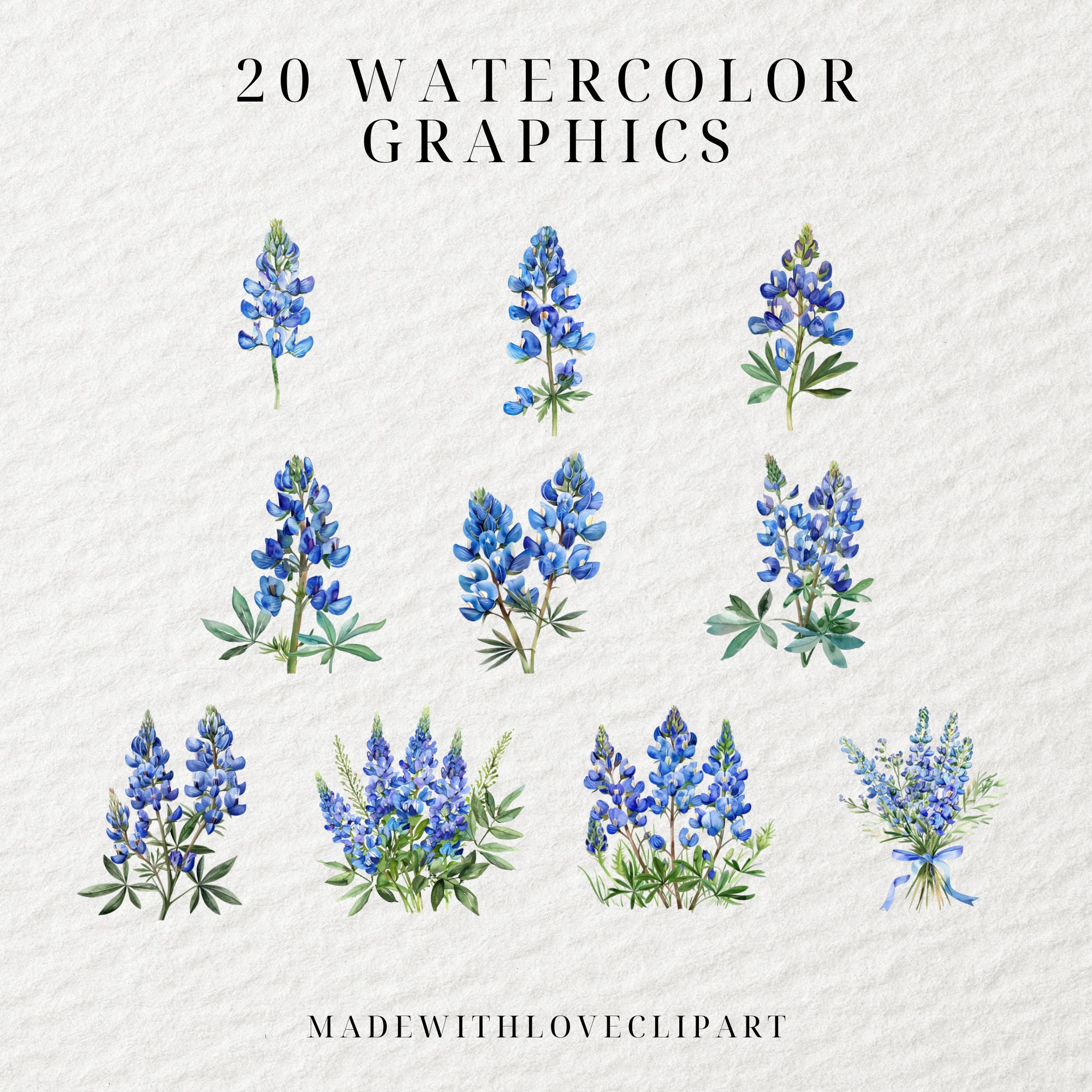 Watercolor Bluebonnet Clipart Bundle, Texas Bluebonnet Clipart, Floral ...