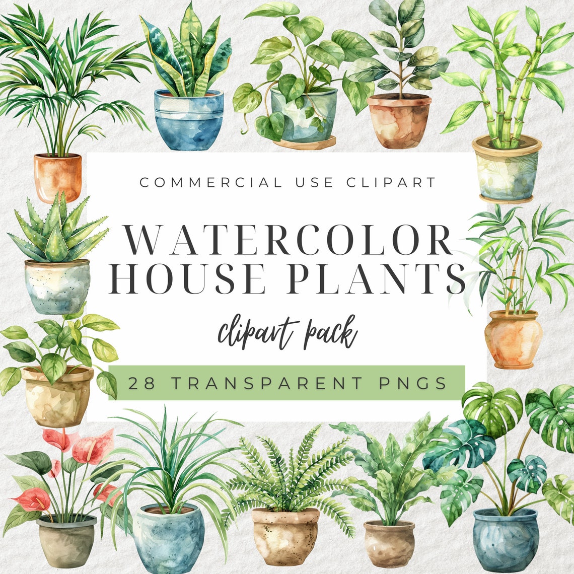 Watercolor House Plants Clipart, Indoor Plants Clipart, Potted Plants ...