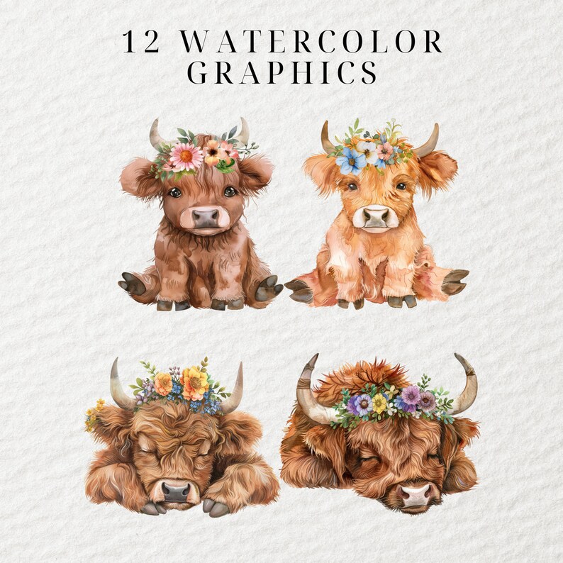 Watercolor Boho Highland Cows Clipart Bundle, Cute Highland Cows ...