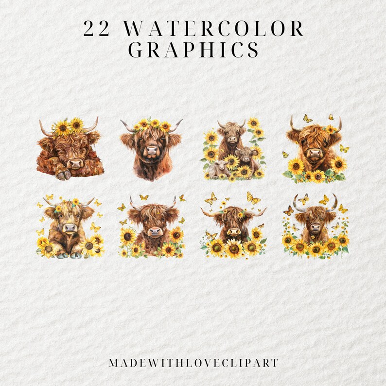 Watercolor Sunflower Highland Cows Clipart, Cute Highland Cows Clipart ...
