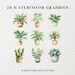 Watercolor House Plants Clipart, Indoor Plants Clipart, Potted Plants ...