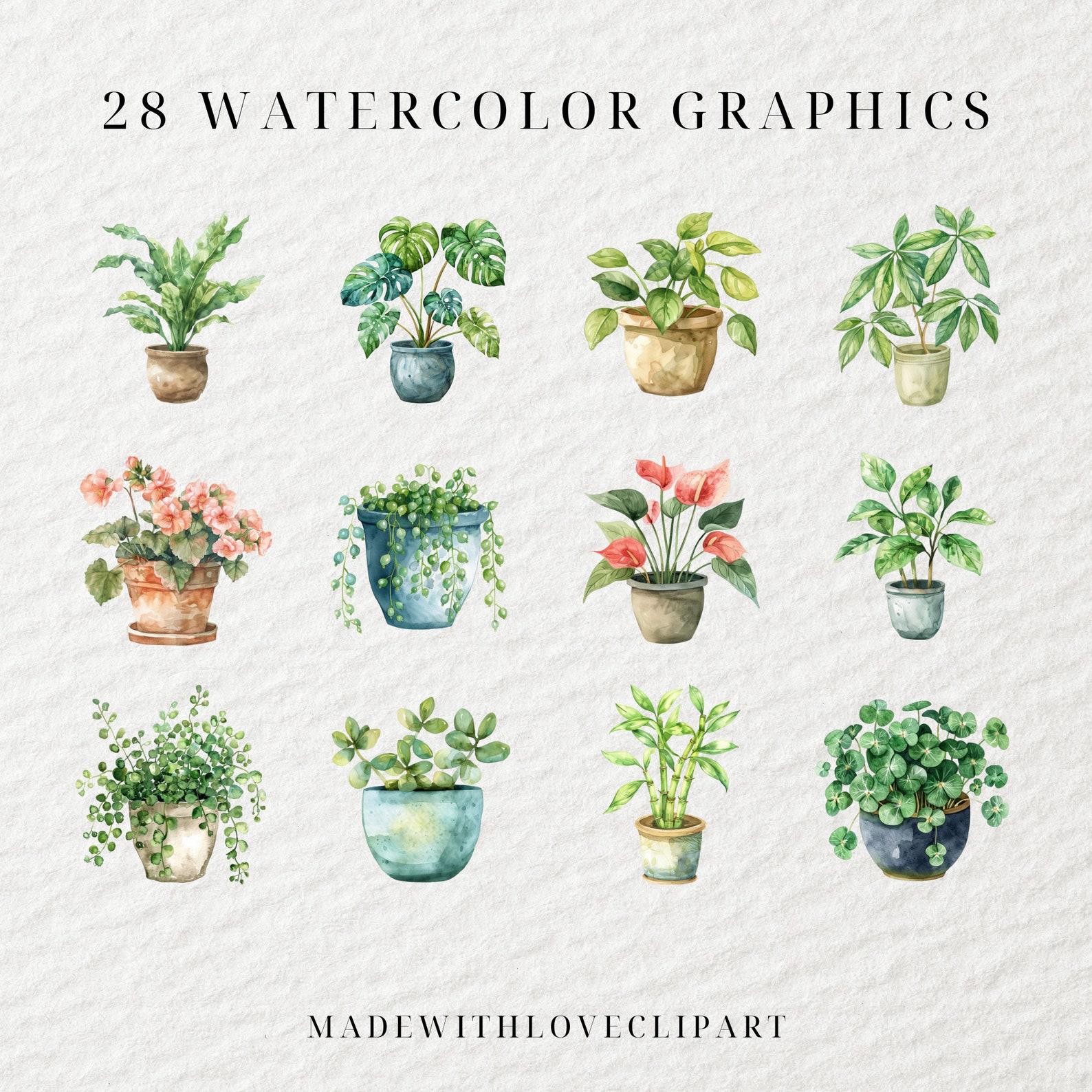 Watercolor House Plants Clipart, Indoor Plants Clipart, Potted Plants ...