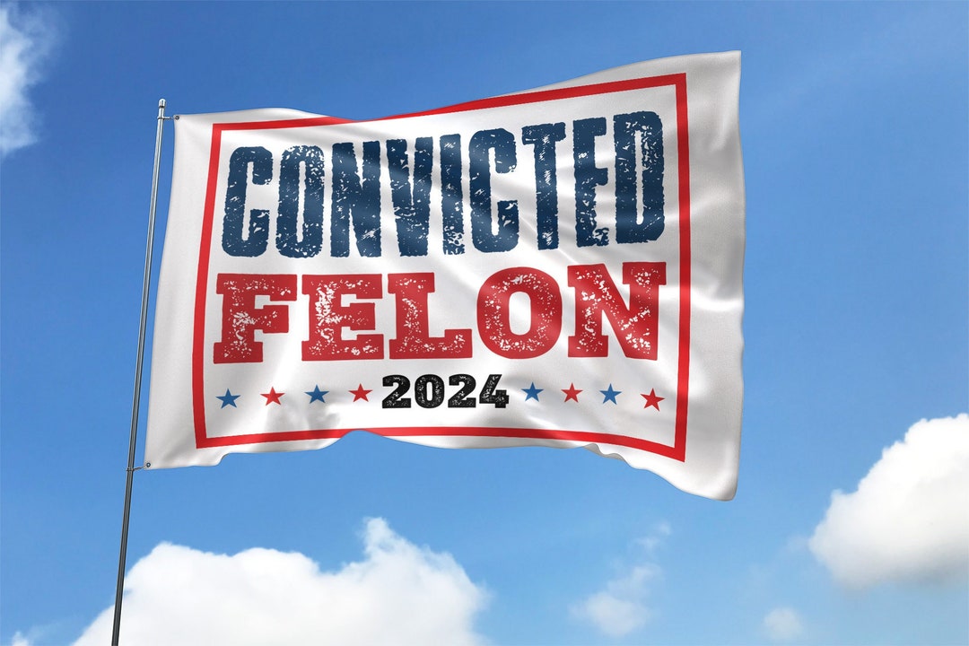 I'm Voting for the Convicted Felon Flag Funny Pro Trump 2024,i'm Voting ...